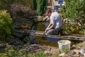 Formation of Pond Sludge and How You Can Remove It - pondlovers.com