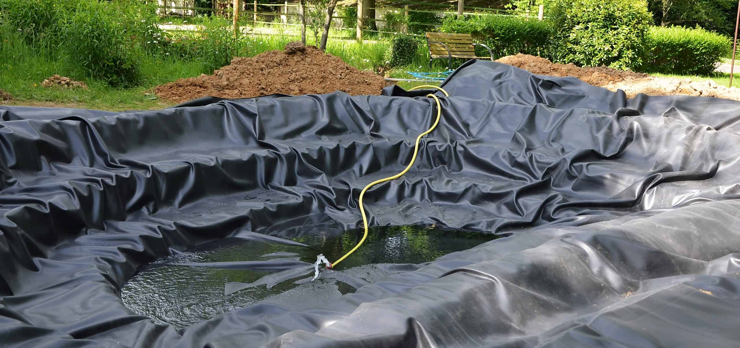Create a Garden Pond: How to do It? - pondlovers.com