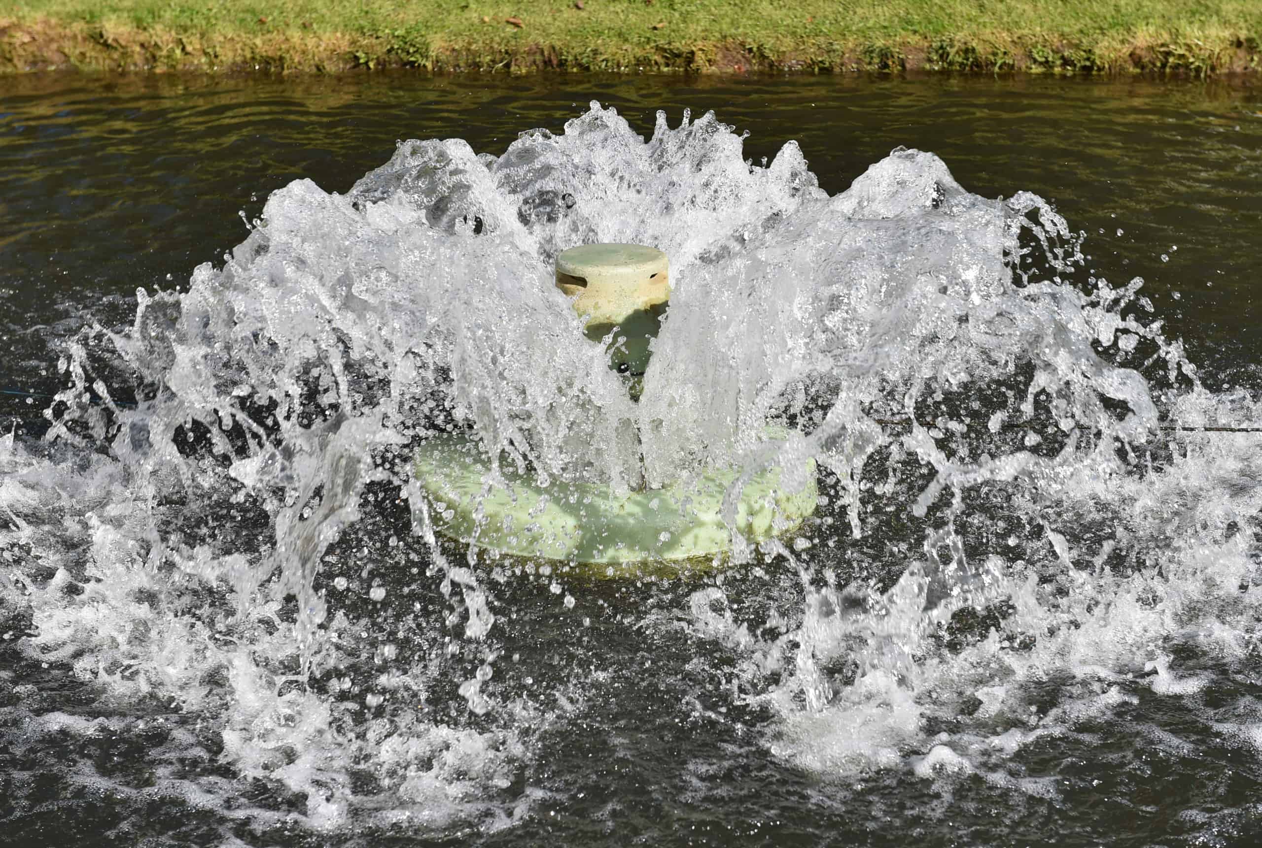 Advantages and Disadvantages of Pond Aeration - pondlovers.com