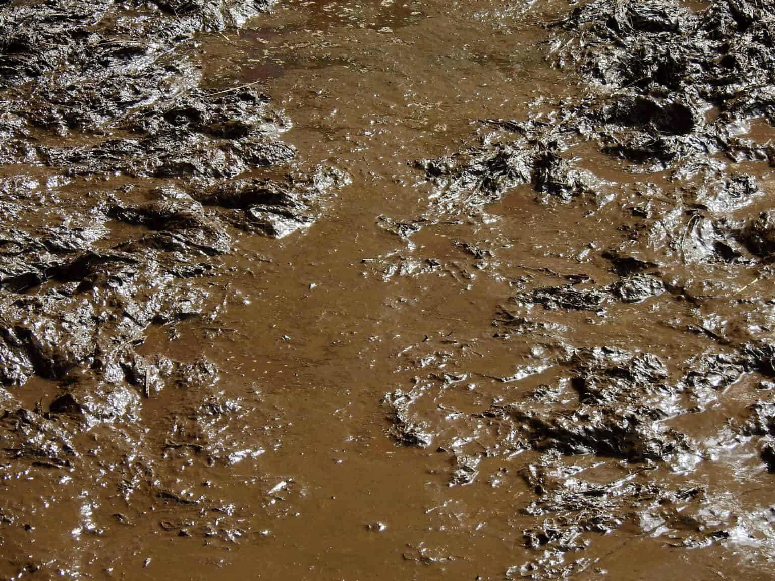 Where to put the Extracted Pond Sludge? - pondlovers.com