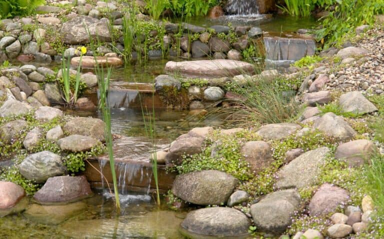 Pond Edge Design - 12 Ideas for Pond Edging & Pond Surroundings ...